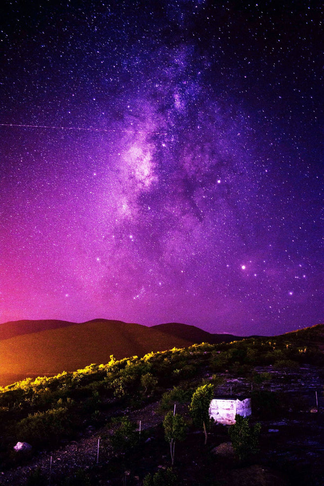 Taste Adventure: Why the Purple Red Bull has you Seeing Stars – Hello Japan